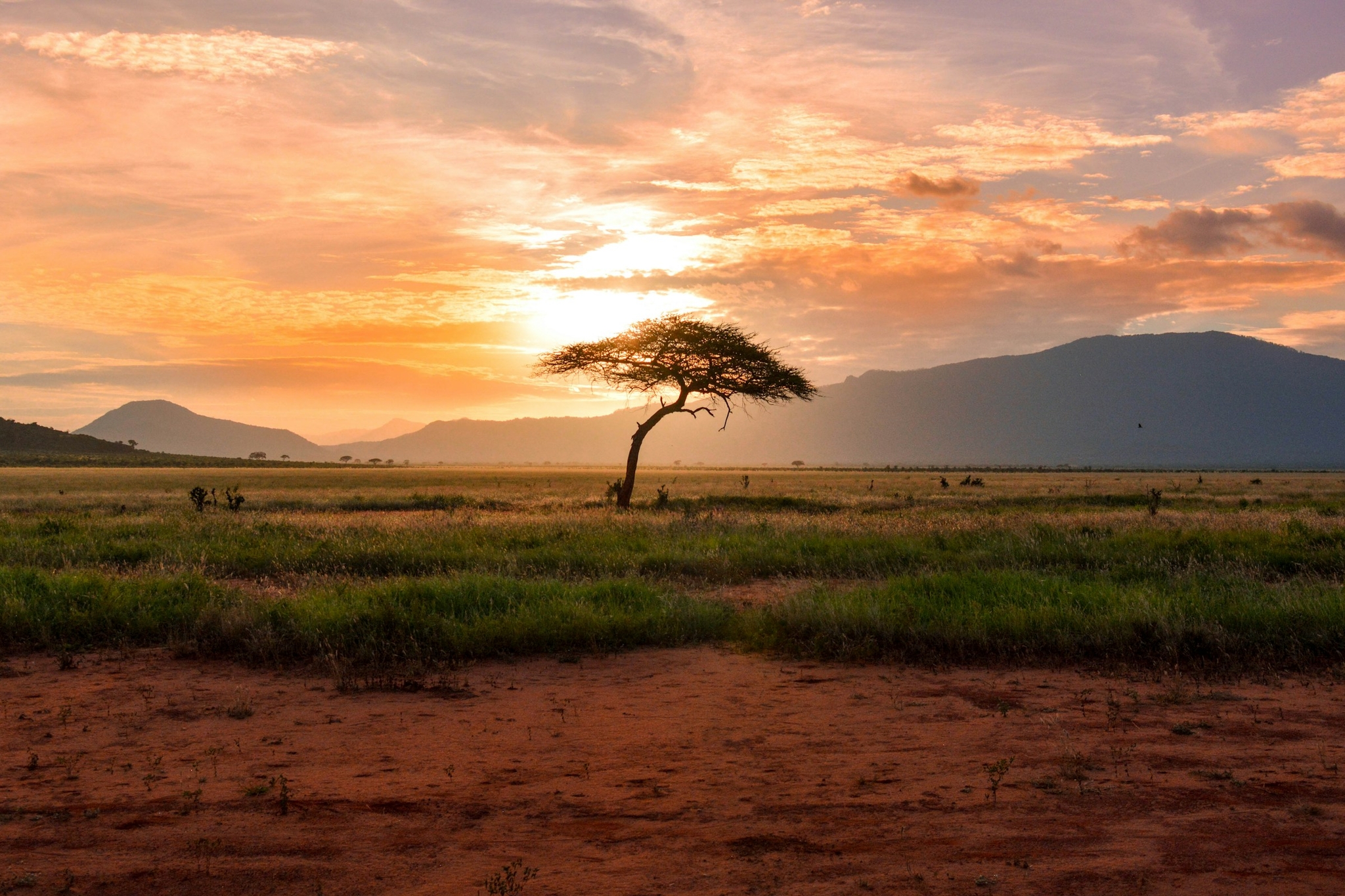 About Karbon-X | Our Story & Mission | Carbon Offset Solutions